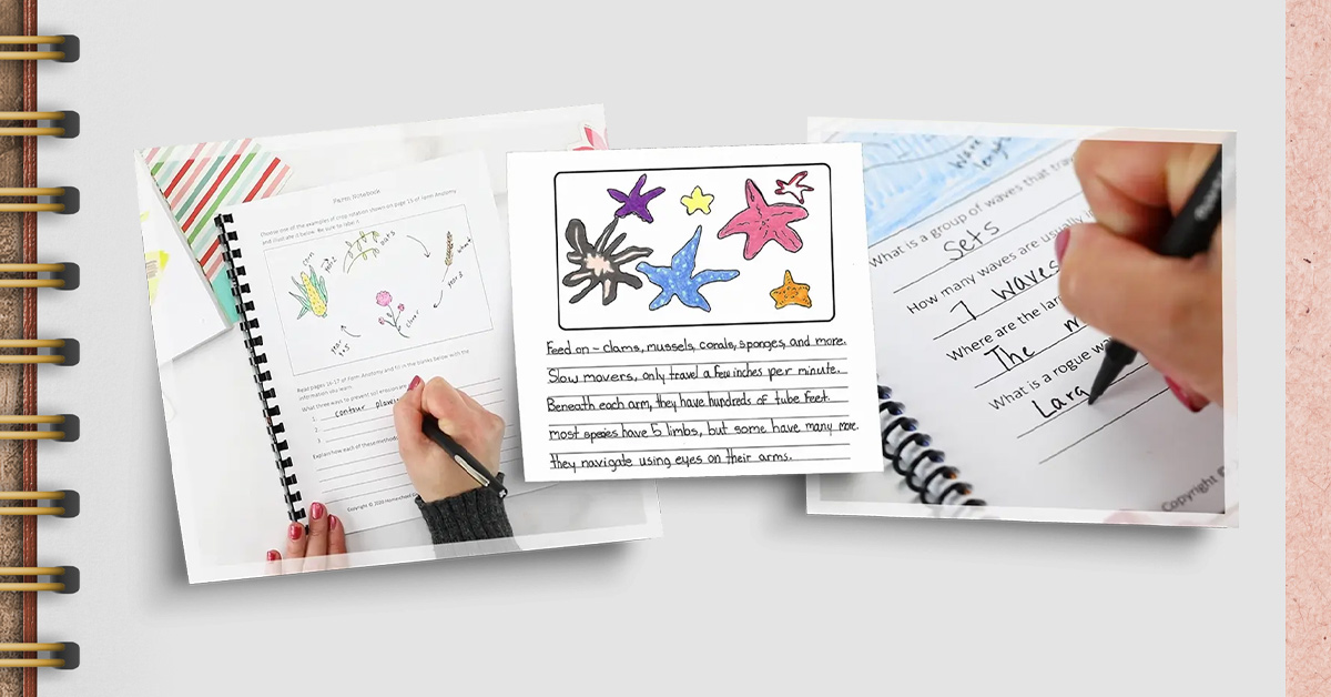 Sticky Note(booking)